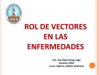 Vectores y enfermedades - Docsity