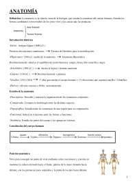 Anatomia - Apuntes de Anatomía - Docsity