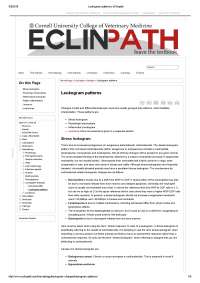Leukogram patterns eclinpath - Docsity