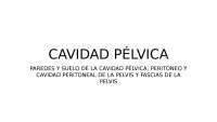 Cavidad pélvica - Docsity