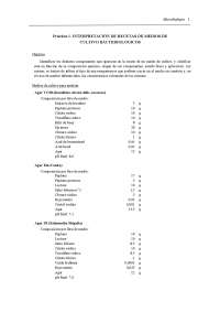Guion de practicas micro - Ejercicios de Microbiología - Docsity