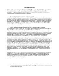 El nacimiento del Islam - Apuntes de Historia - Docsity