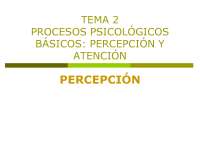 PERCEPCIÓN EL PROCESO DE PERCEPCIÓN - Apuntes de Psicología | Docsity