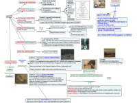 Mappa DANTE - IL PURGATORIO 1/2 - Docsity