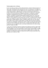 Los poturus - Apuntes de Arqueología - Docsity