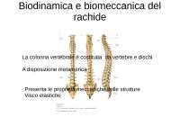 Biomeccanica del rachide - Docsity