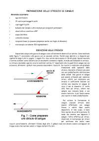 Striscio di sangue: tecnica e teoria - Docsity