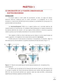 Guines practicas - Ejercicios de Fisiología Humana - Docsity