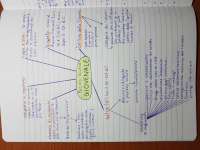 Schemi Giovenale e Marziale - Docsity