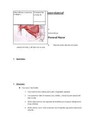 Región anterolateral del muslo - Docsity