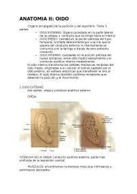 ANATOMIA II OIDO - Apuntes de Anatomía - Docsity