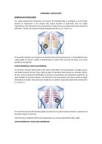 Ruidos pulmonares - Apuntes de Fisiología - Docsity