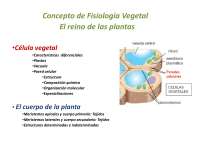 Fisiología Vegetal Tema 1 - Apuntes de Fisiología de las Plantas - Docsity