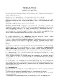 Analisi del Fedro di Platone - Docsity