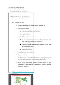 FISIOLOGIA VEGETAL - Apuntes de Botánica y Agronomía - Docsity