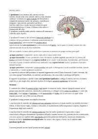 IPOTALAMO e TALAMO (funzione e anatomia) - Docsity