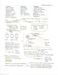 Study Guide for Quiz 1 - Material Science and Engineering | MSE 250 ...