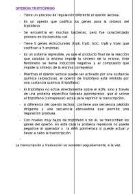 OPERON TRIPTOFANO - Apuntes de Microbiología - Docsity