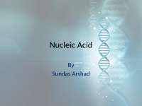 Nucleic acid slides biochemistry - Docsity