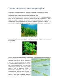 Introducción a la Fisiología Vegetal - Apuntes de Fisiología de las ...
