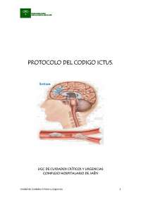 Protocolo ictus - Ejercicios de Enfermería - Docsity