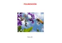 POLINIZACIÓN polinización cruzada Heterogamia Hercogamia - Ejercicios ...