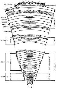 Dante: struttura Inferno, Dante e Petrarca: analogie e differenze - Docsity