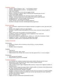 Riassunto programma 5' superiore TDP - Docsity