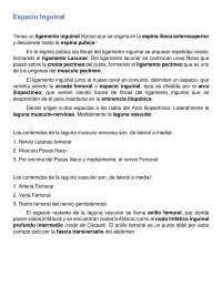 Espacio Inguinal Descripción detallada de contenidos del espacio ...