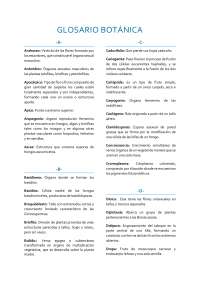 Glosario botánica - Ejercicios de Botánica y Agronomía - Docsity