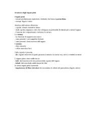 Schema organi pieni - Docsity