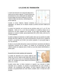 La leche materna de transición - Docsity