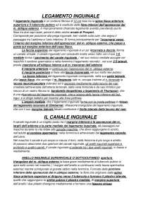 Canale inguinale anatomia 1 - Docsity