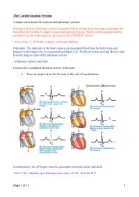 Cardiovascular System Notes - Docsity