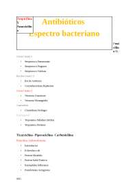 Espectro Bacteriano de Antibióticos - Docsity
