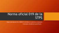 Triptico NOM-019-STPS - Docsity