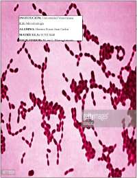 Haemophilus ducreyi-características más importantes - Docsity
