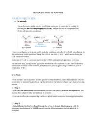 Metabolic fates of Pyruvate during glycolysis - Docsity