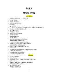 Anatomy of hand- anatomija ruke 2018 | Skripte' predlog Anatomija ...