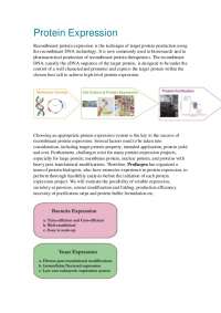 An Introduction For Protein Expression - Docsity