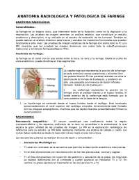 Anat. Rx y Px de Faringe | Apuntes de Imagenología - Docsity