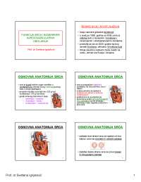 Klinicka hemija sa molekulanom dijagnostikom - srcani markeri 2 ...