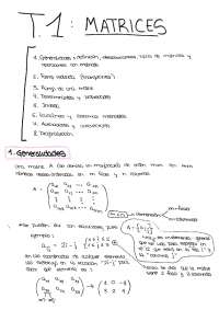 T.1 Matrices (Álgebra de 1º de Biotecnología) - Docsity