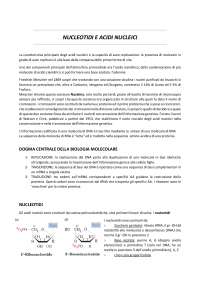 Biologia Molecolare- riassunto su basi azotate, struttura DNA e ...