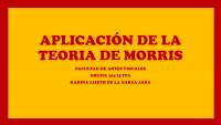 Aplicacion de la teoria de morris - Docsity