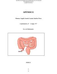 Anatomia del apendice - Docsity
