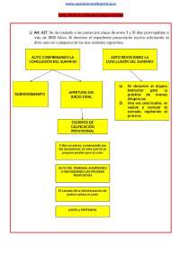 Esquema procedimiento Ordinario penal - Docsity