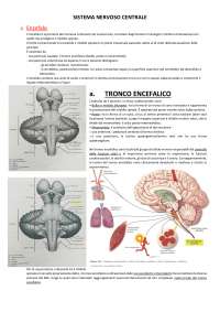 RIASSUNTI SNC E NERVI CRANICI DAL LIBRO ANASTASI - GAUDIO PIù SCHEMI ...