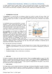 Fisiología vegetal. tema 2 - Docsity