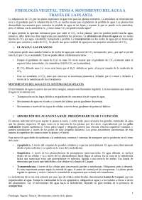 Fisiología Vegetal. tema 4 - Docsity